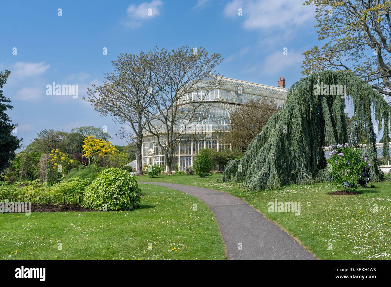 Wide scenic view lush garden hi-res stock photography and images - Alamy