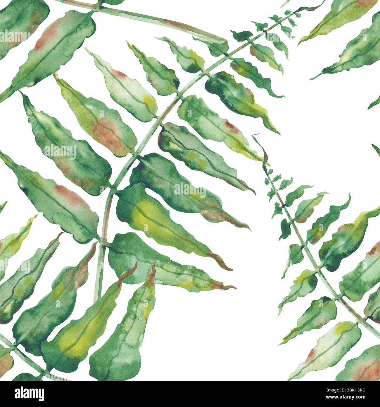 Watercolor fern leaves on a white background. Seamless pattern for ...