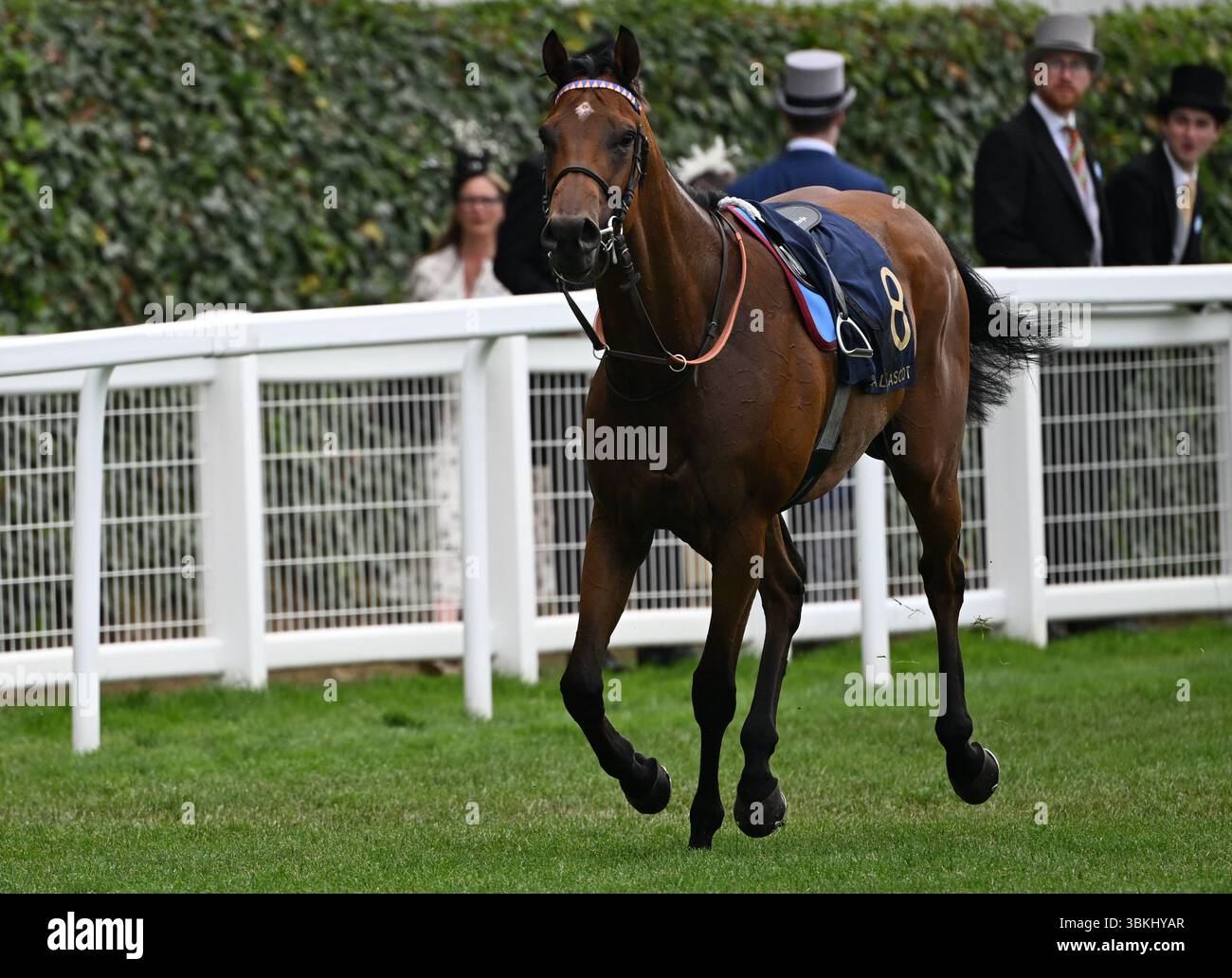 Lazzat horse racing hi-res stock photography and images - Alamy