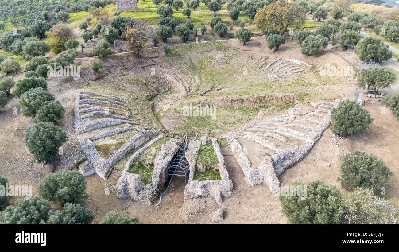 Aerial view of an ancient amphitheater of Scolacium surrounded by olive ...