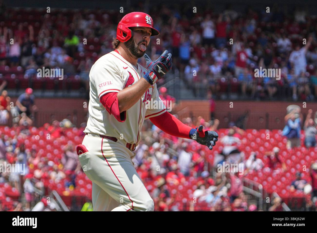 St. Louis Cardinals' Alec Burleson celebrates as he rounds the bases ...