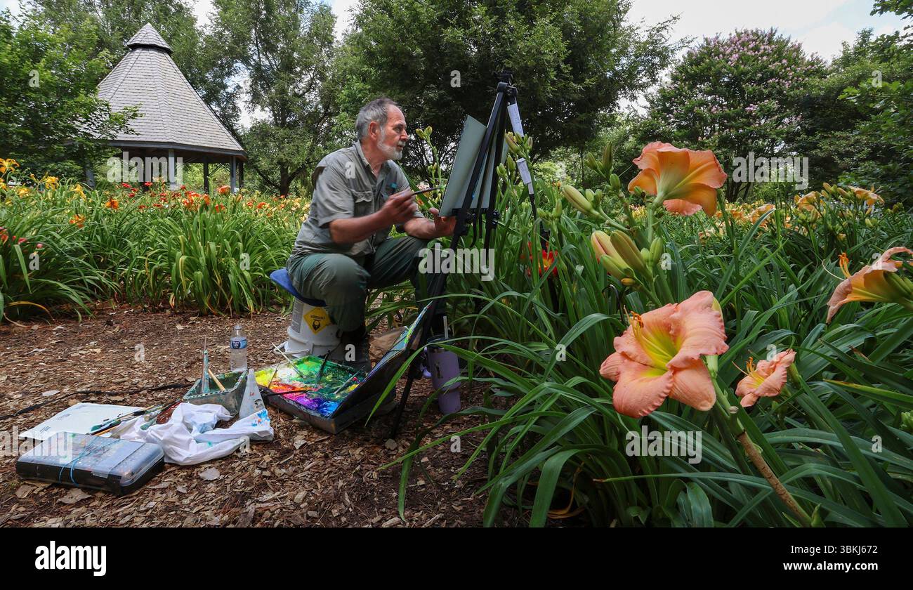 Artist Rex Robinson is surrounded by blooming daylilies as he paints a ...