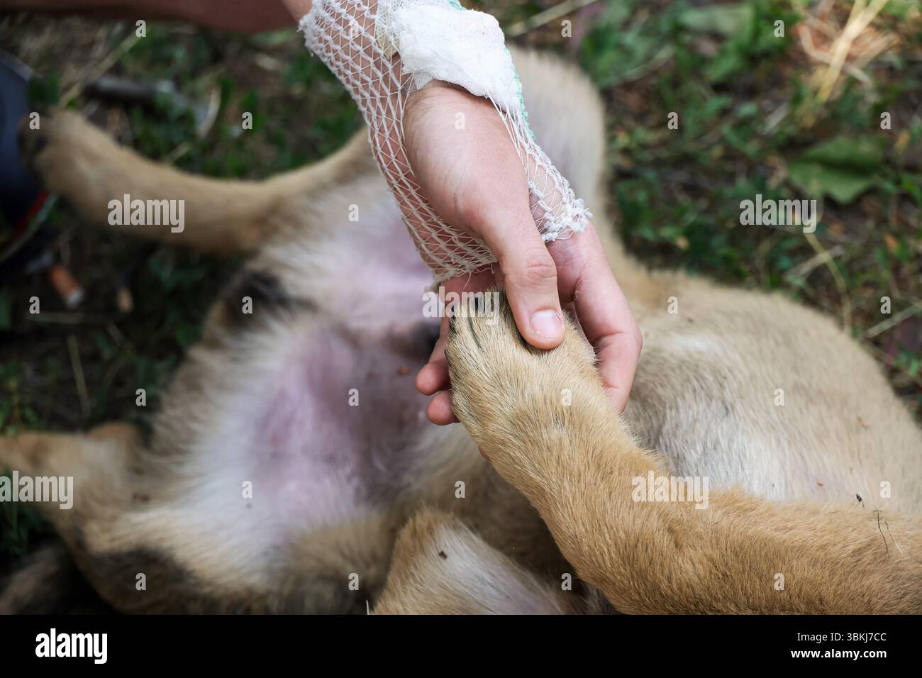 Non Exclusive: A wounded Ukrainian soldier with a bandaged hand holds a ...
