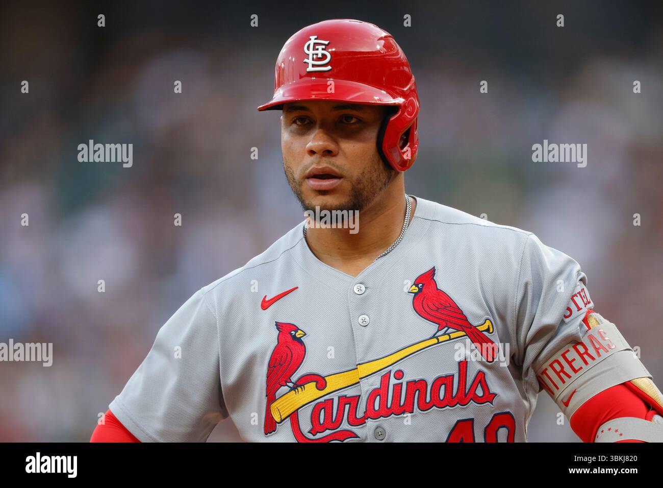 Willson Contreras #40 of the St. Louis Cardinals looks on during a game ...
