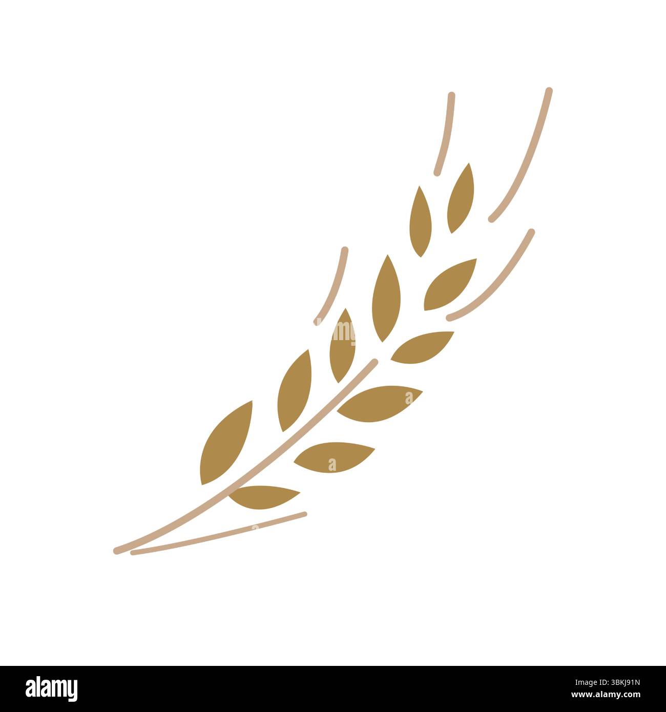 Wheat spikelet. Vector illustration in flat style. For design cereals, flour products, pastries ...