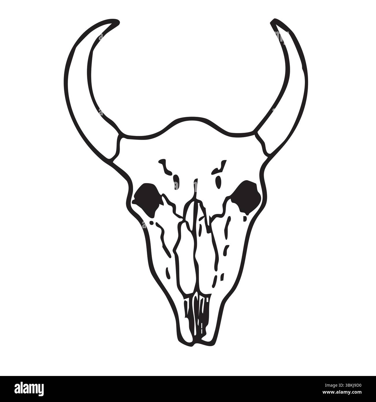 Hand drawn western vector doodle of bull's skull. Line art ...