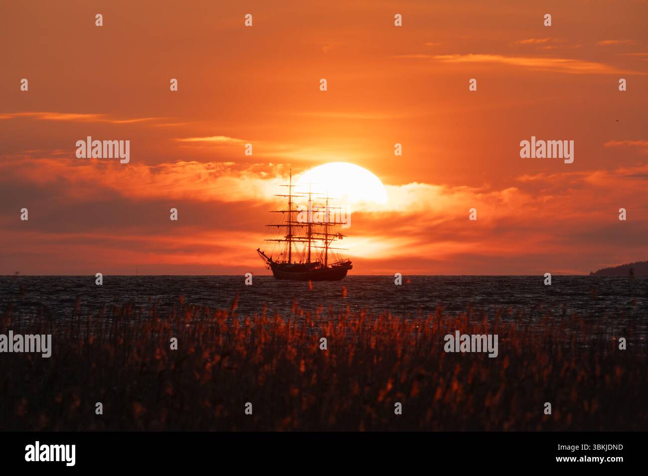 Tall ship behind silhouette hi-res stock photography and images - Alamy