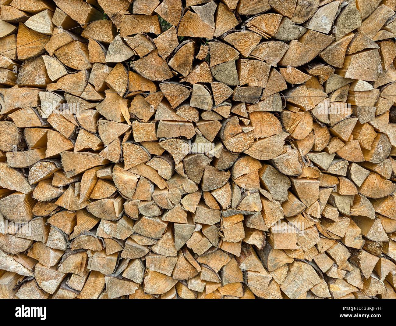 Cross section background of logs of different sizes. Wall of cut brown ...