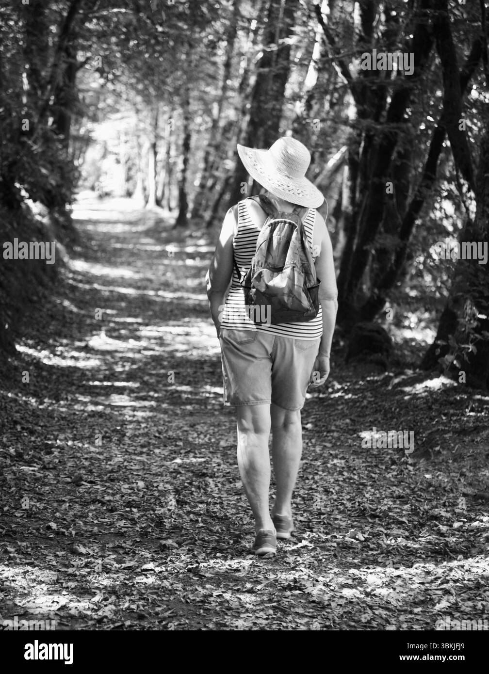 Walking in woods on Black and White Stock Photos & Images - Alamy