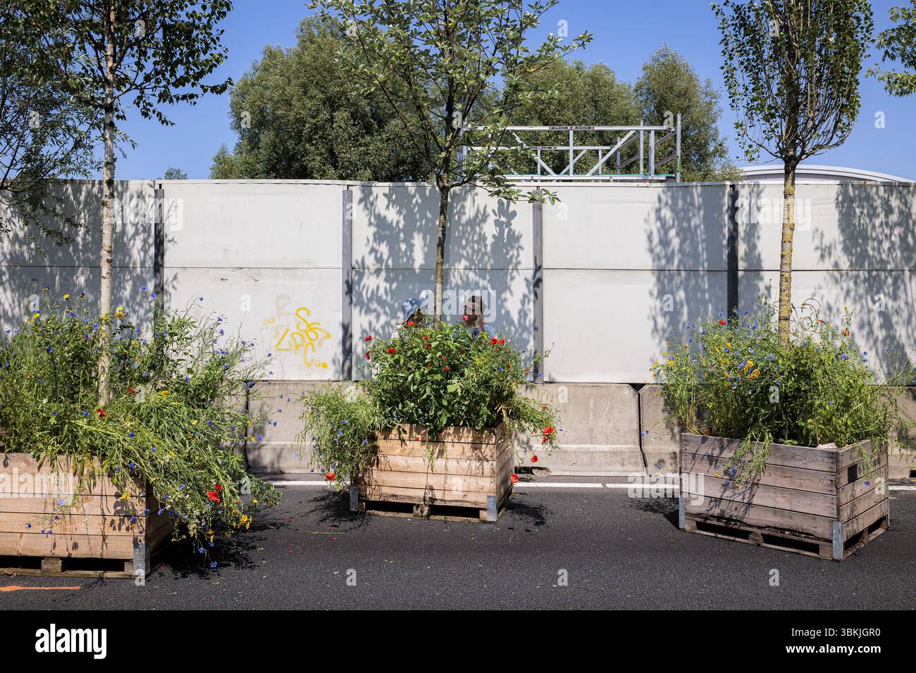 AMSTERDAM - Visitors among the trees on the car-free Ring A10 where the ...