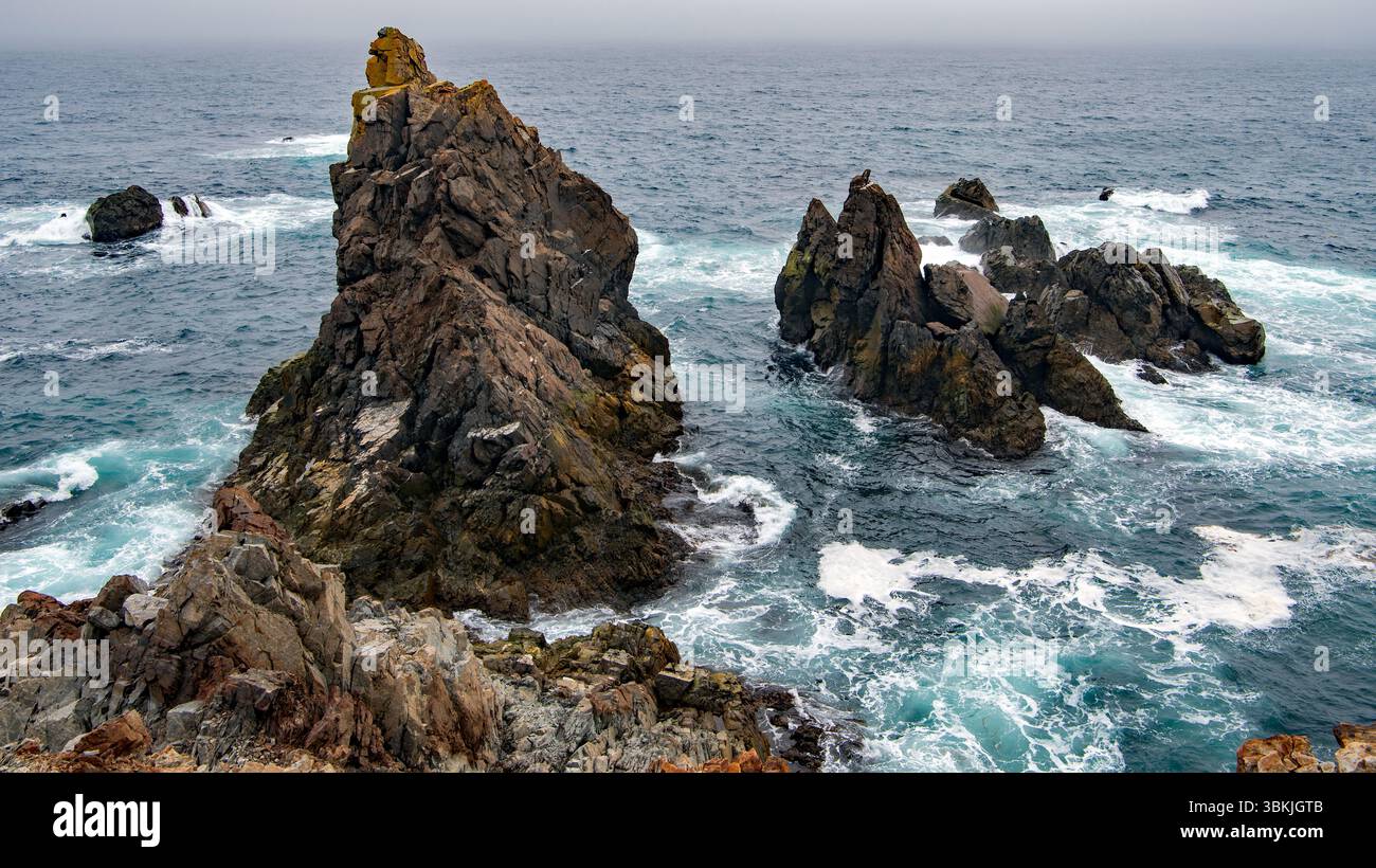 Dungeon Provincial Park UNESCO Geosite. The coastline and steep cliffs ...