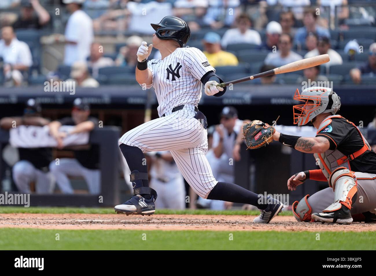 BRONX, NY - JUNE 21: New York Yankees Shortstop Anthony Volpe (11) hits a home run during the ...