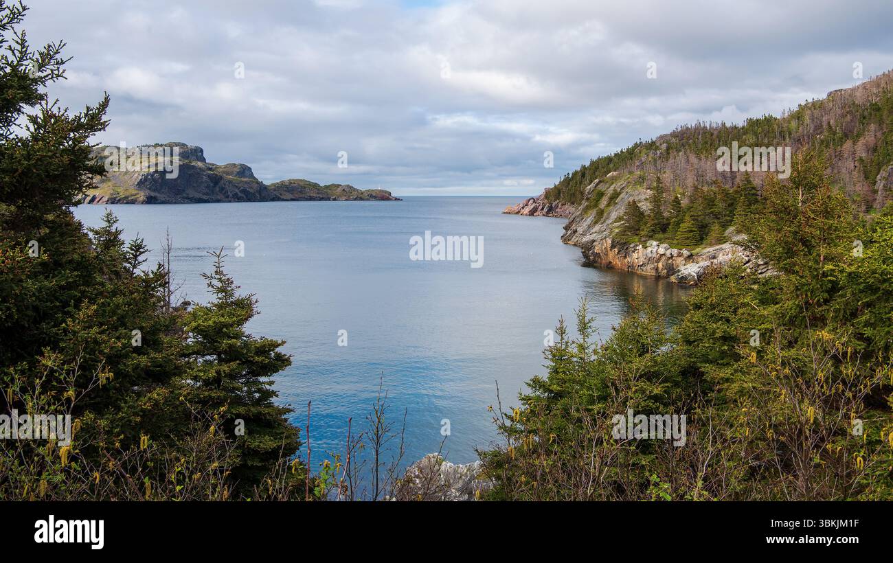 Brigus newfoundland hi-res stock photography and images - Alamy