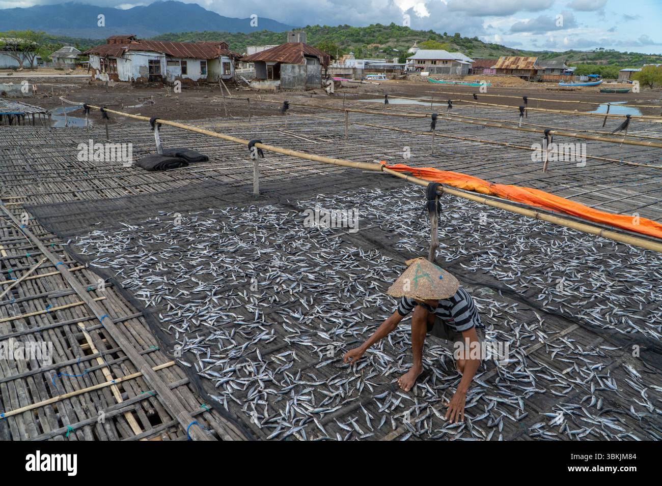 Coastal food processing hi-res stock photography and images - Alamy