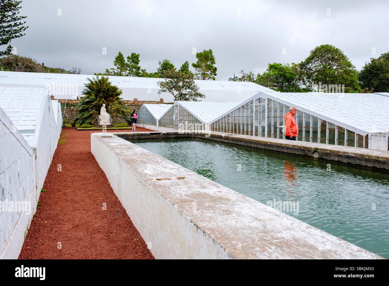 People visiting Augusto Arruda pineapple farm plantation greenhouses ...