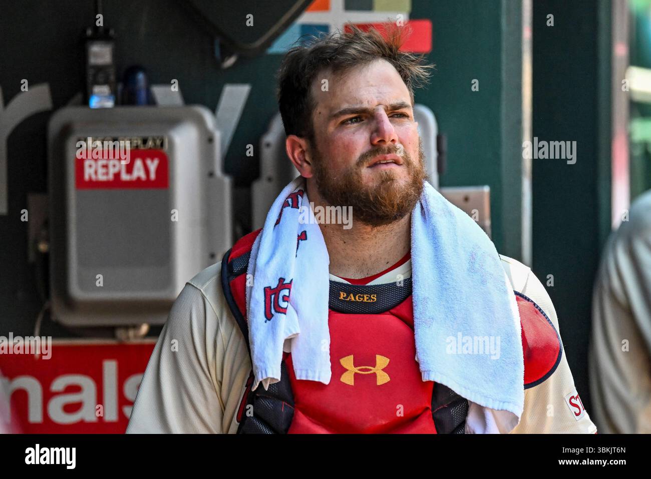 ST. LOUIS, MO - JUN 21: St. Louis Cardinals catcher Pedro Pages (43 ...