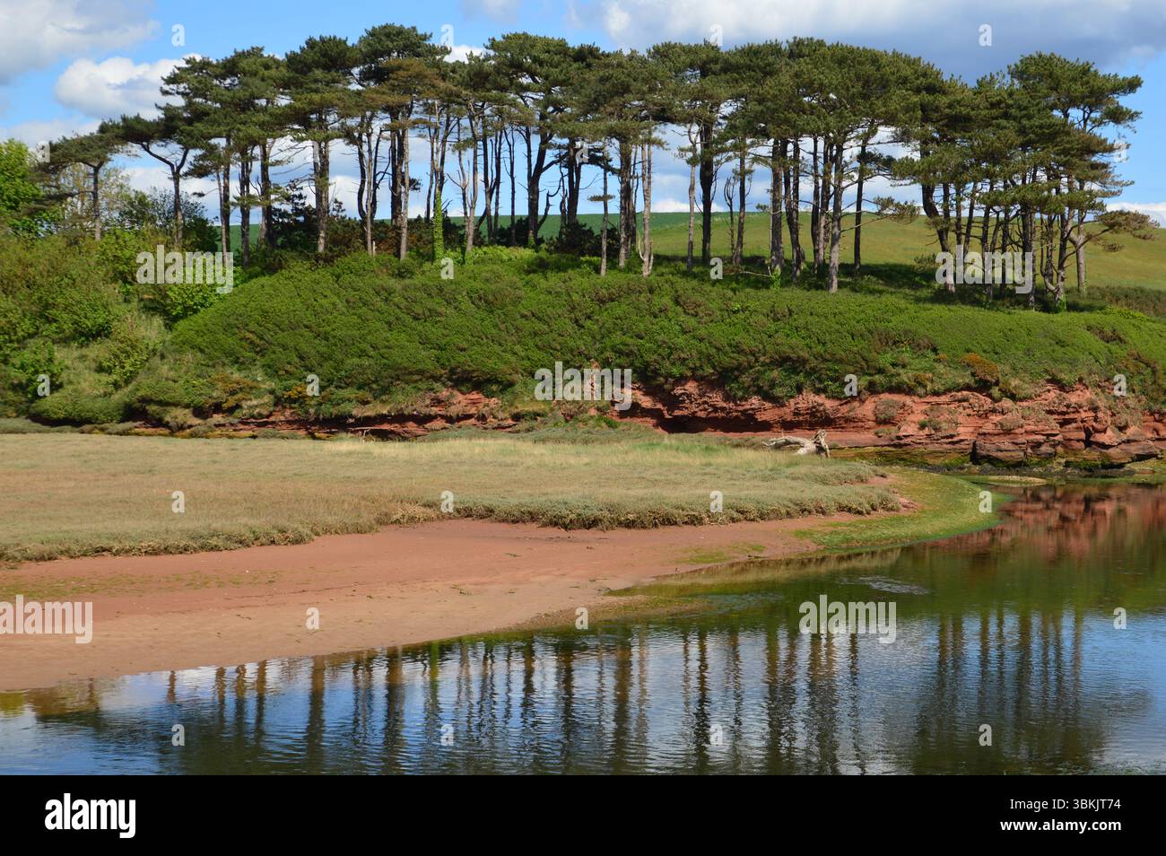River Otter Estuary in Devon, England, captured in May. Calm water ...
