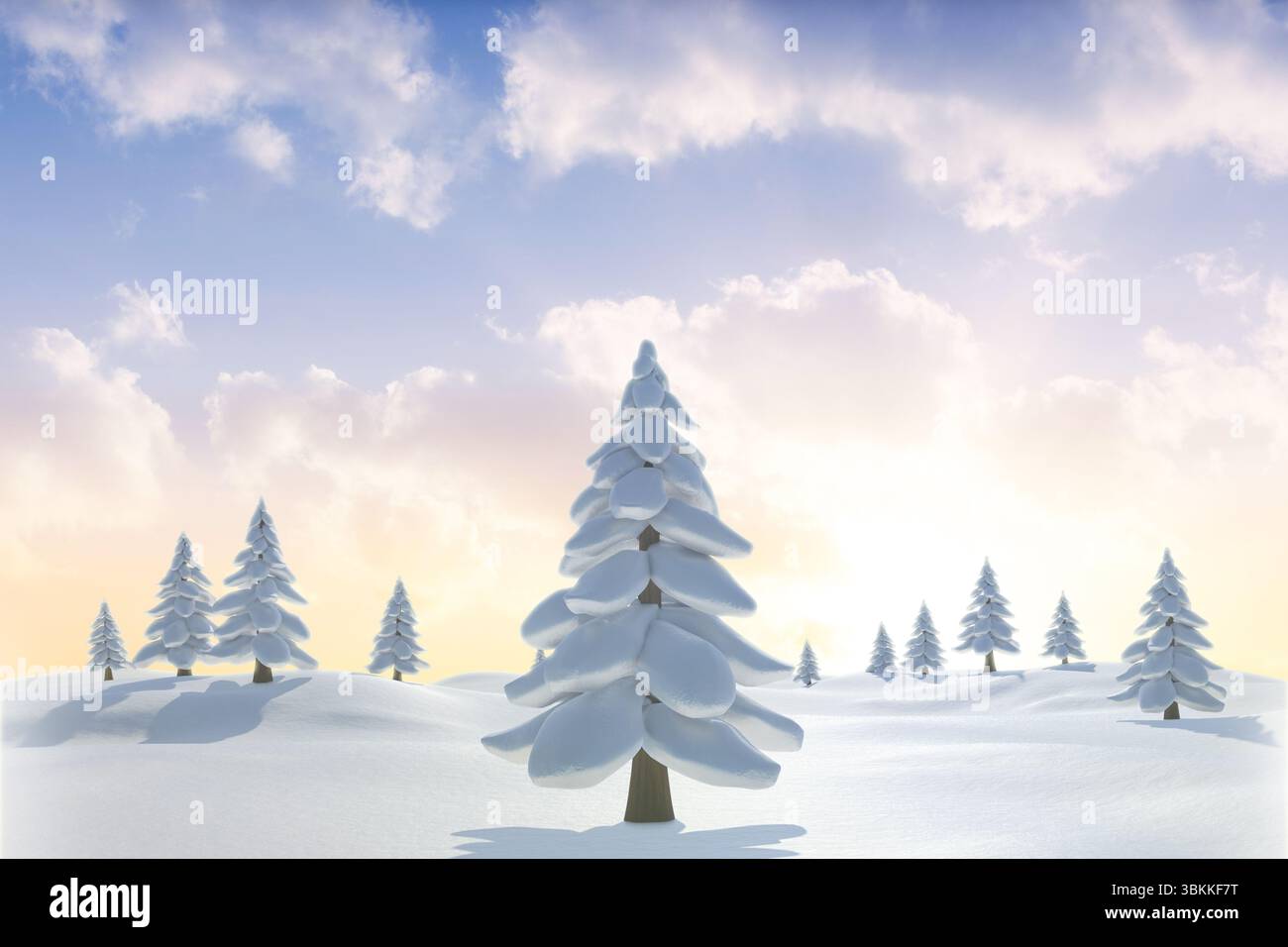 Beautiful landscape fir trees hi-res stock photography and images - Alamy