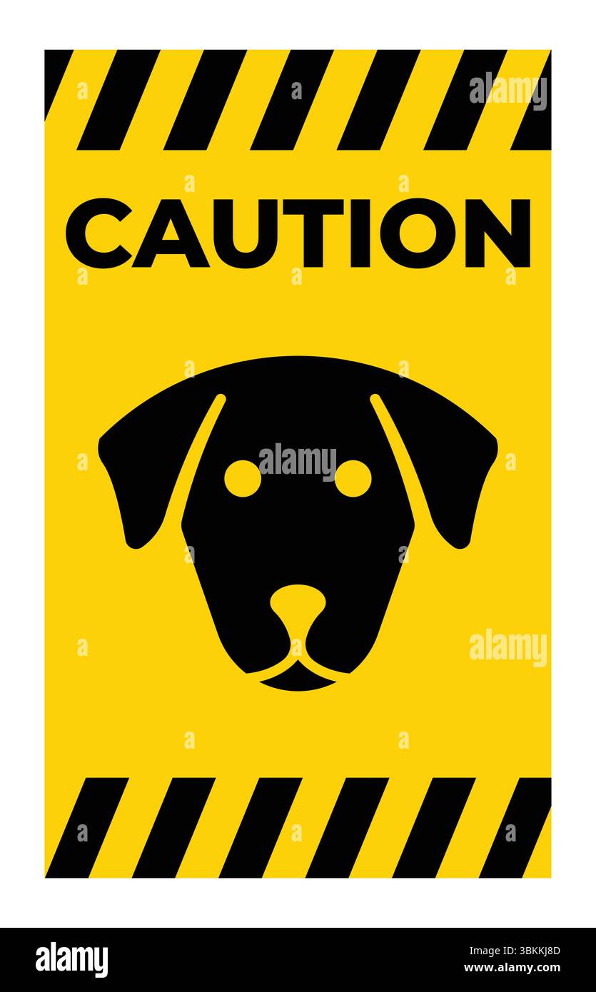 Yellow dog indoor Cut Out Stock Images & Pictures - Alamy