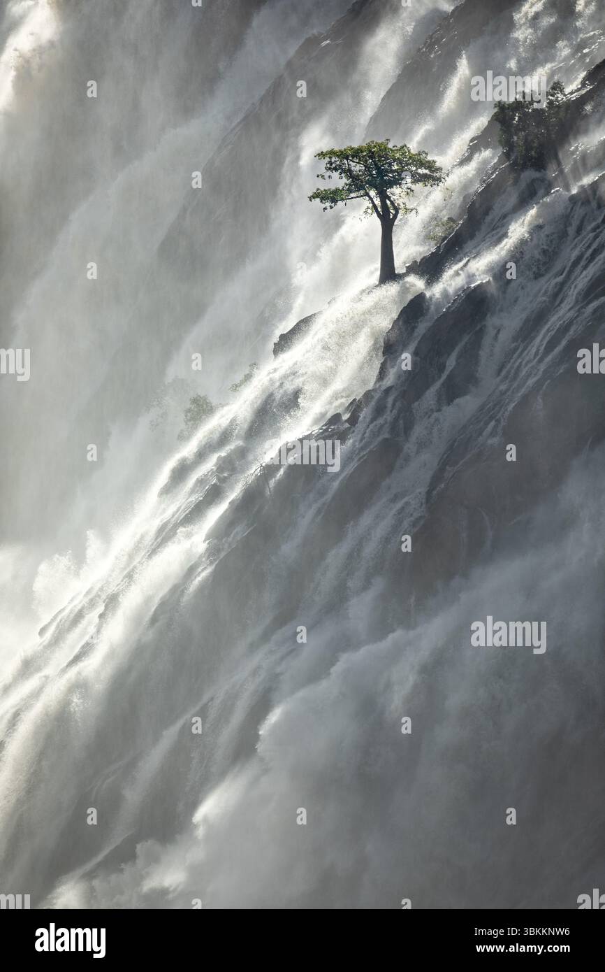 Flood waters of the Kunene River flow over the Ruacana Falls, The ...
