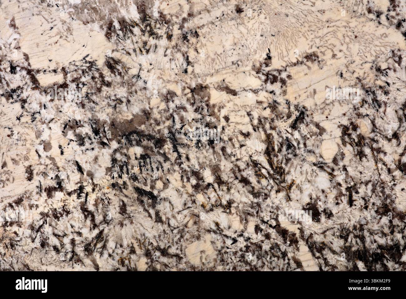 Unique Alaska white - granite background, new texture in classic colors for your personal design ...