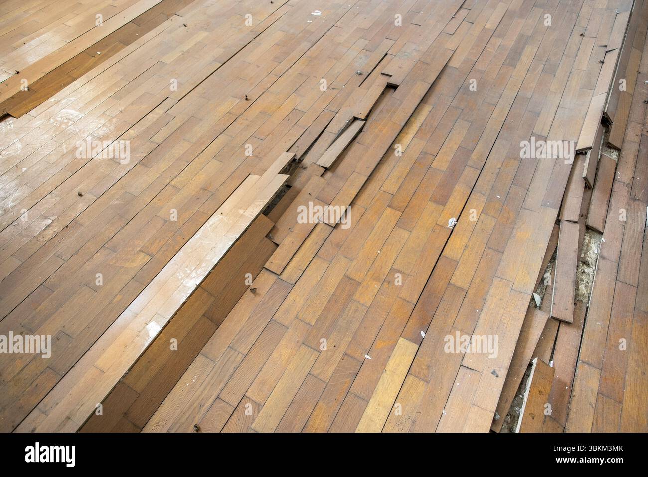 Damaged wooden floor. Floor ruined by humidity and wear. Ruined parquet ...