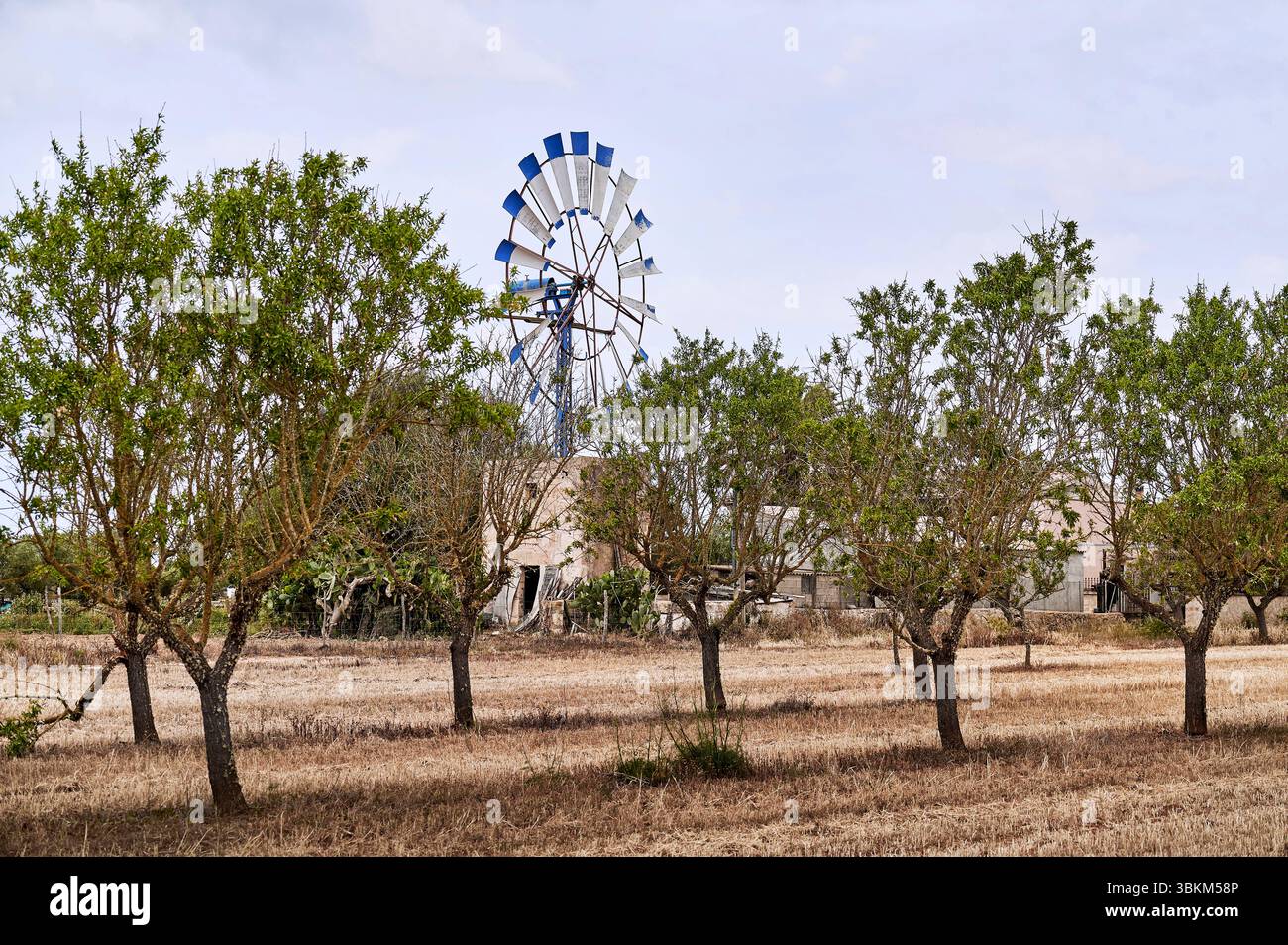 Windenergie, Kulturdenkmal, historisches Windrad auf Mallorca, hinter ...