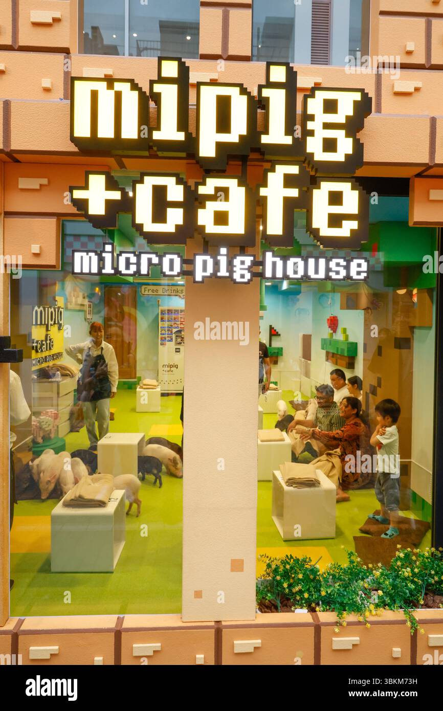 MIPIG CAFE TOKYO Stock Photo - Alamy