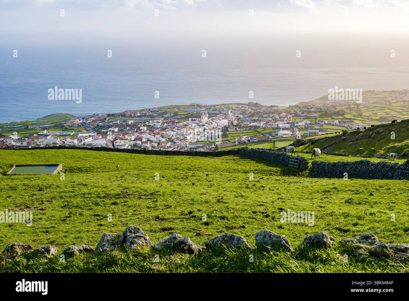 Expansive View of Verdant Rolling Hills and a Coastal Town Leading to ...