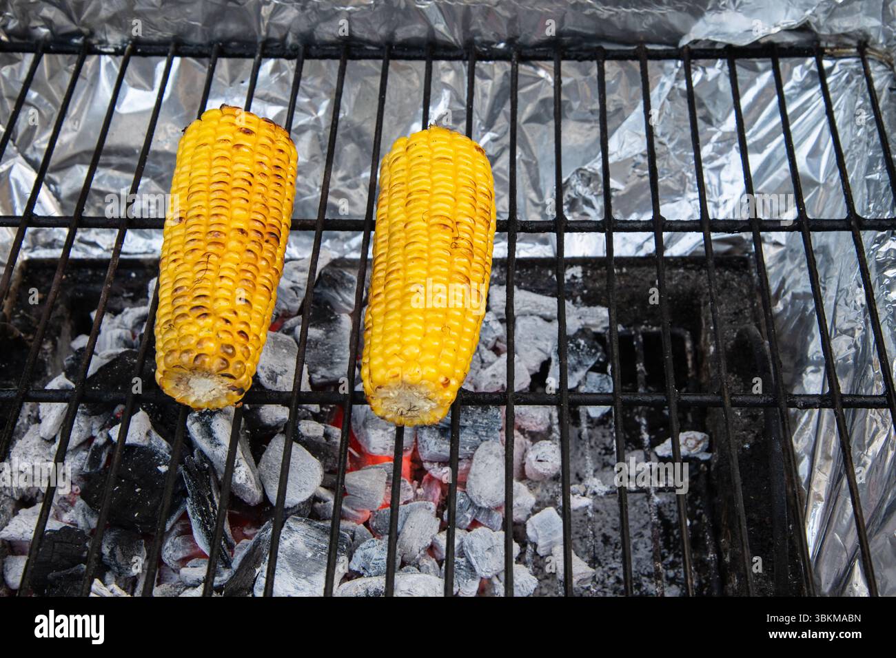 Two corn on the cob grilling on a barbecue with hot coals beneath ...