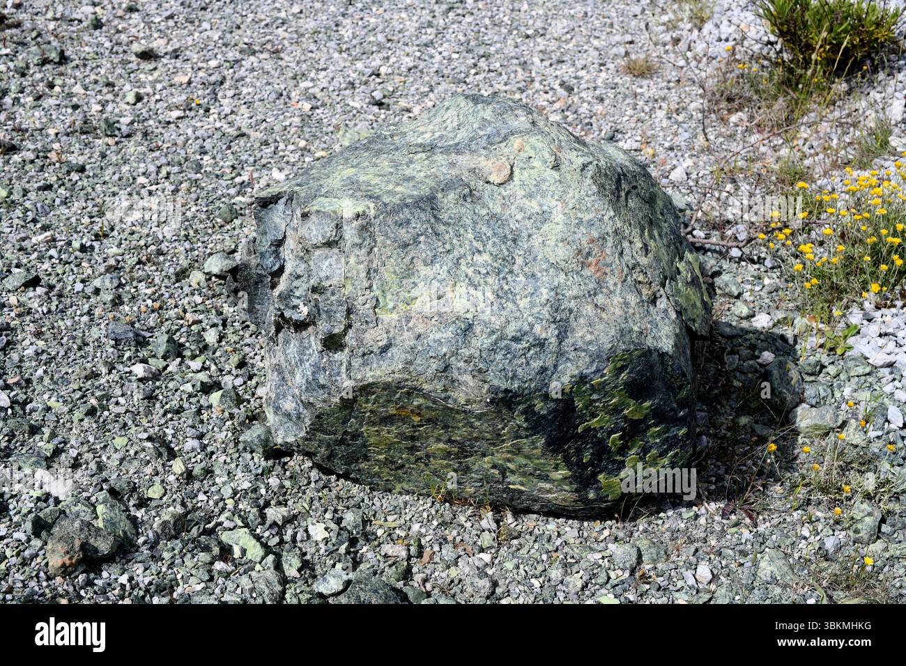 Serpentinite is a metamorphic rock composed mainly of serpentine ...