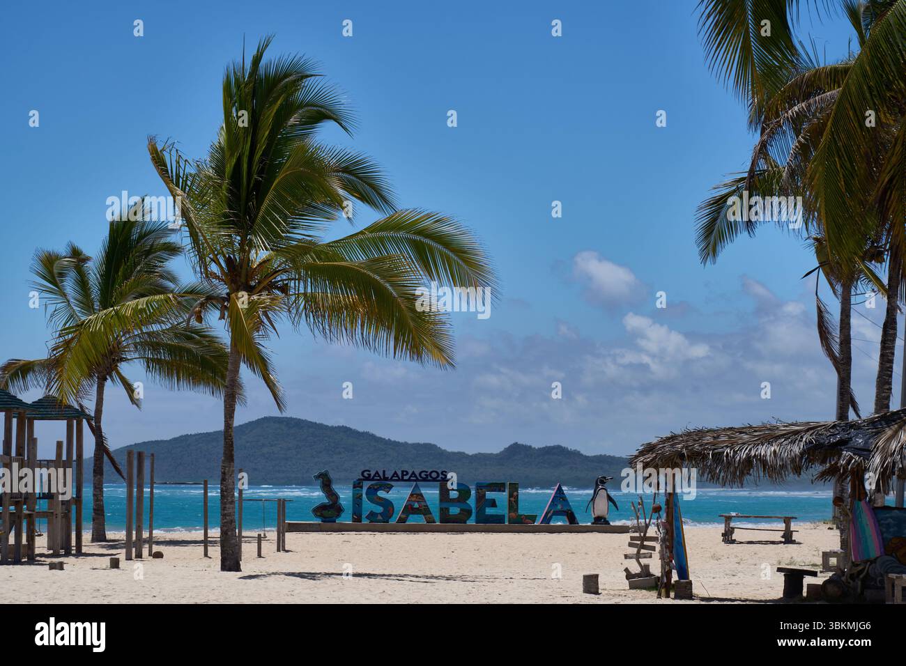 Schriftzug Isabela am Strand, Palmen, Playa Grande, Puerto Villamil ...