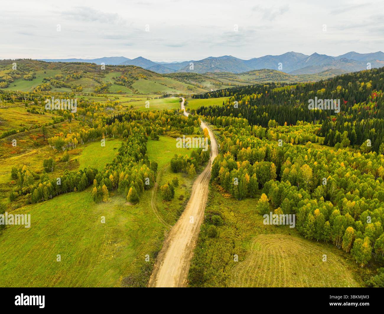 An aerial view captures a winding dirt road traversing through rolling ...