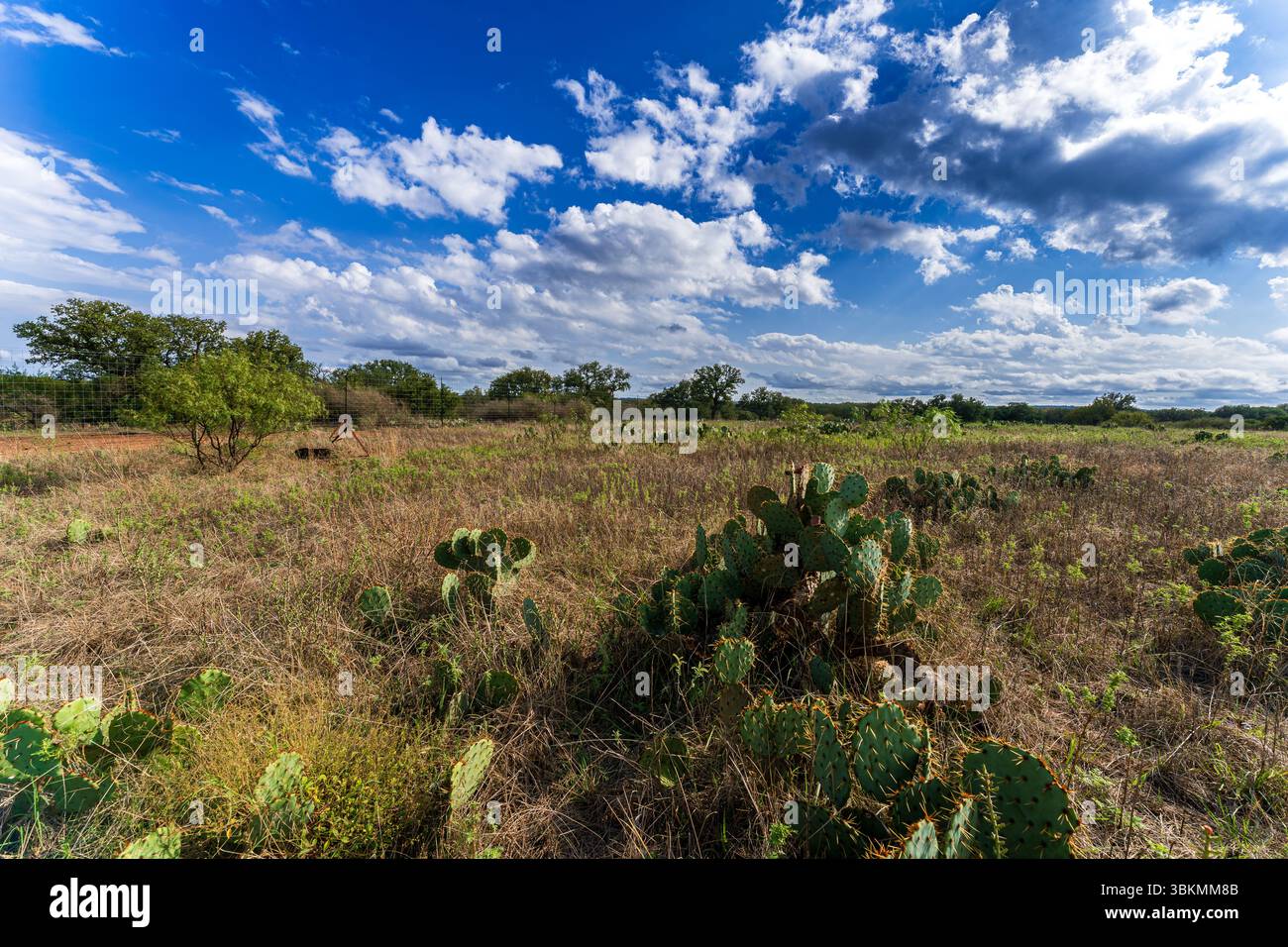 Destination vista landscape view hi-res stock photography and images ...