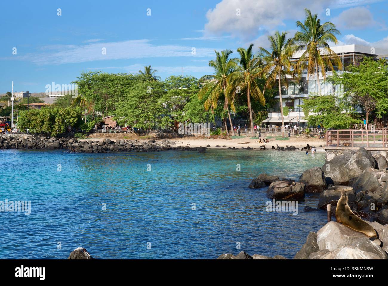Playa de Oro vor einem Hotel und Palmen, am Hafen von Puerto Baquerizo ...