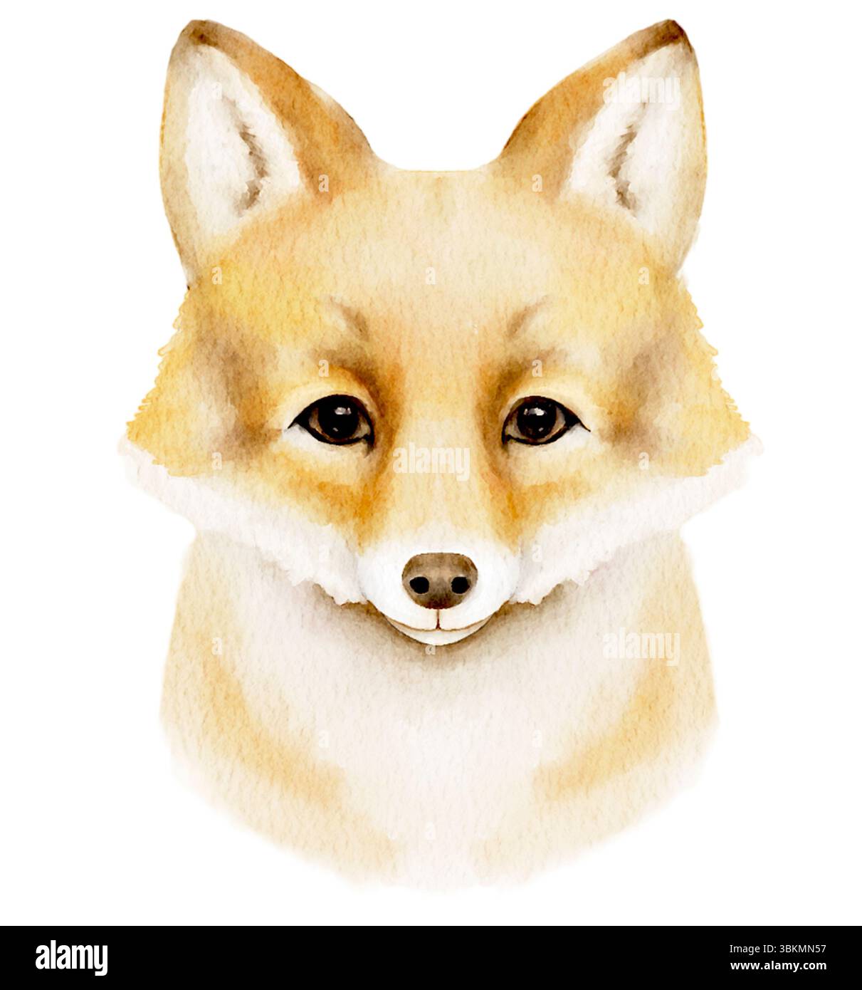 Cute fabric for kids Cut Out Stock Images & Pictures - Alamy