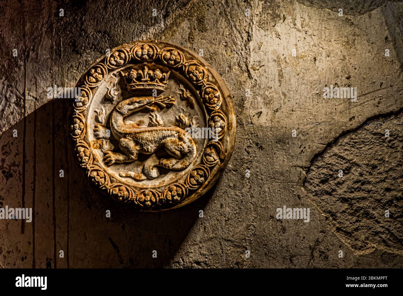 The emblem in the Château de Cognac shows a fire salamander, the ...