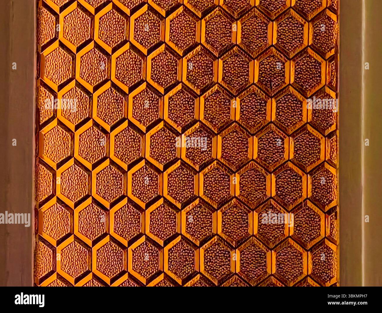 Abstract Hive Frame with Grid Glass Structure – Close-Up Door Detail ...