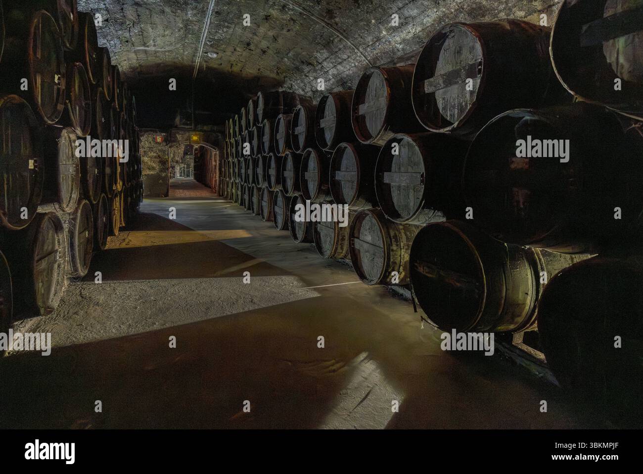 Maturation cellar and storage of cognac barrels at Baron Otard. The ...