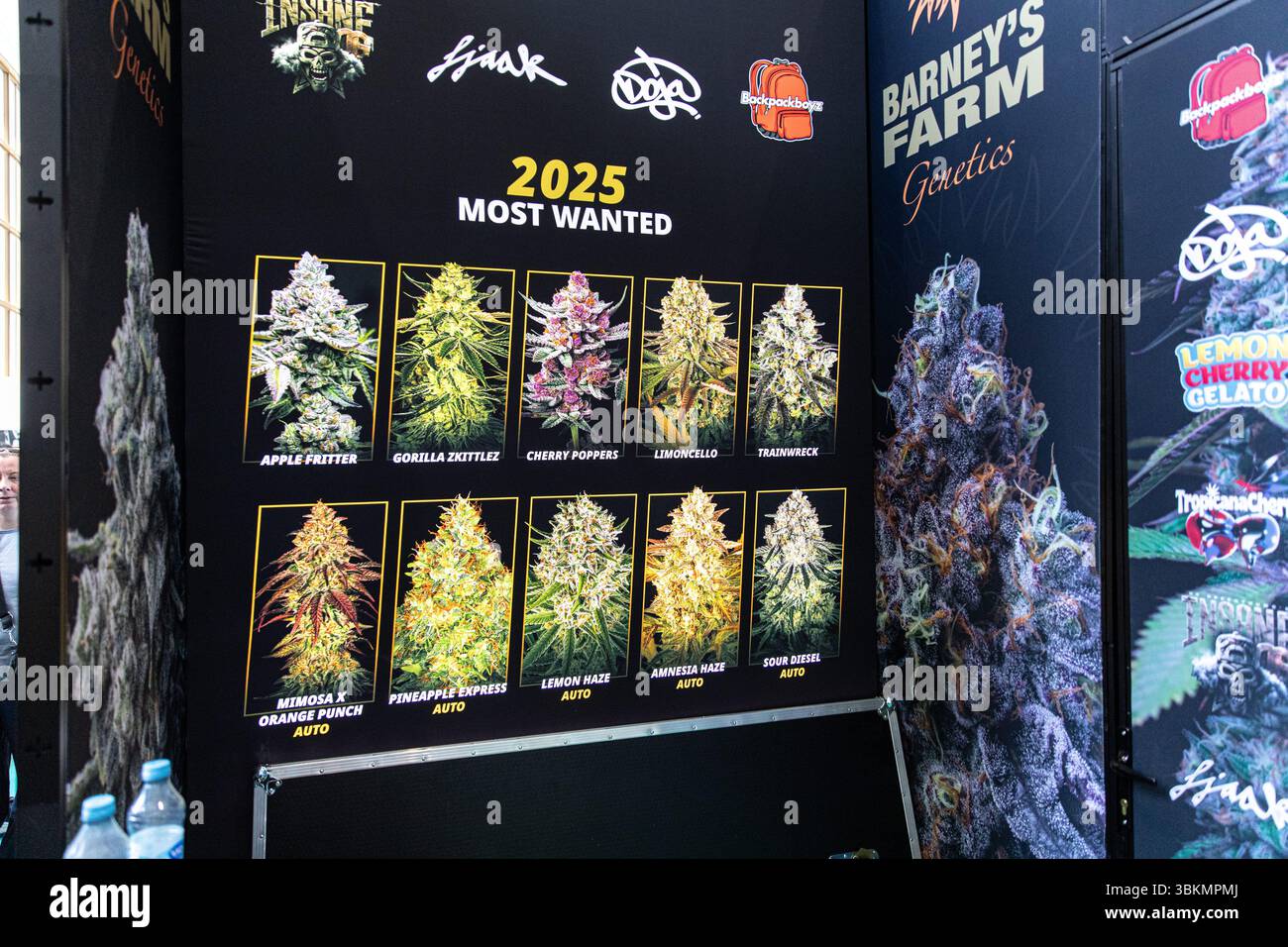 Berlin, Berlin, Germany. 22nd June, 2025. Tens of thousands gathered in ...