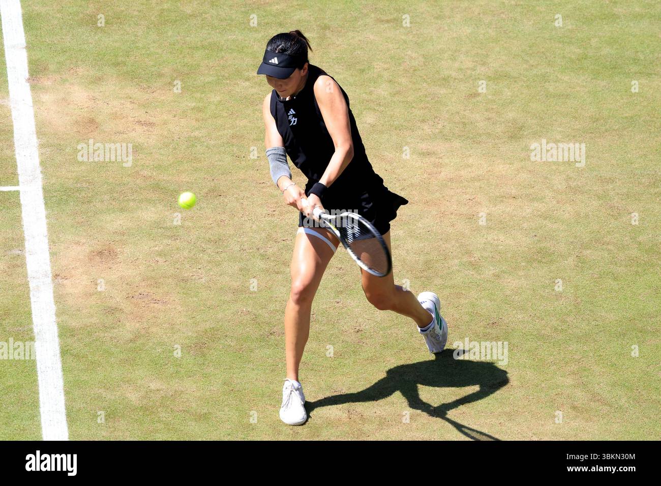 Berlin, Deutschland. 22nd June, 2025. 22.06.2025, Rot-Weiss ...