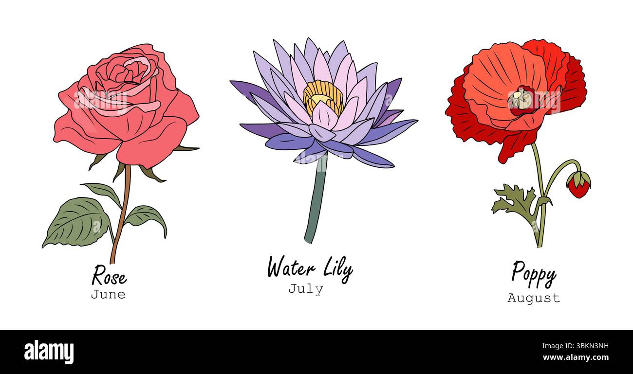 Flowers june july Cut Out Stock Images & Pictures - Alamy