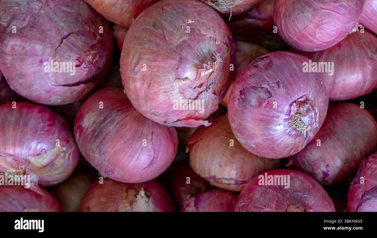 Fresh organic red onion hi-res stock photography and images - Alamy