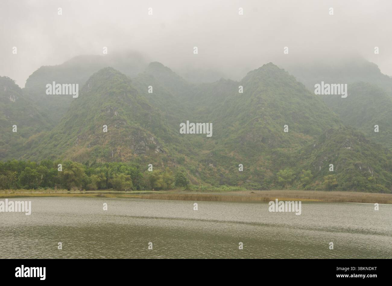 Van Long Wetland Nature Reserve. Gia Vien District. Ninh Binh Province ...