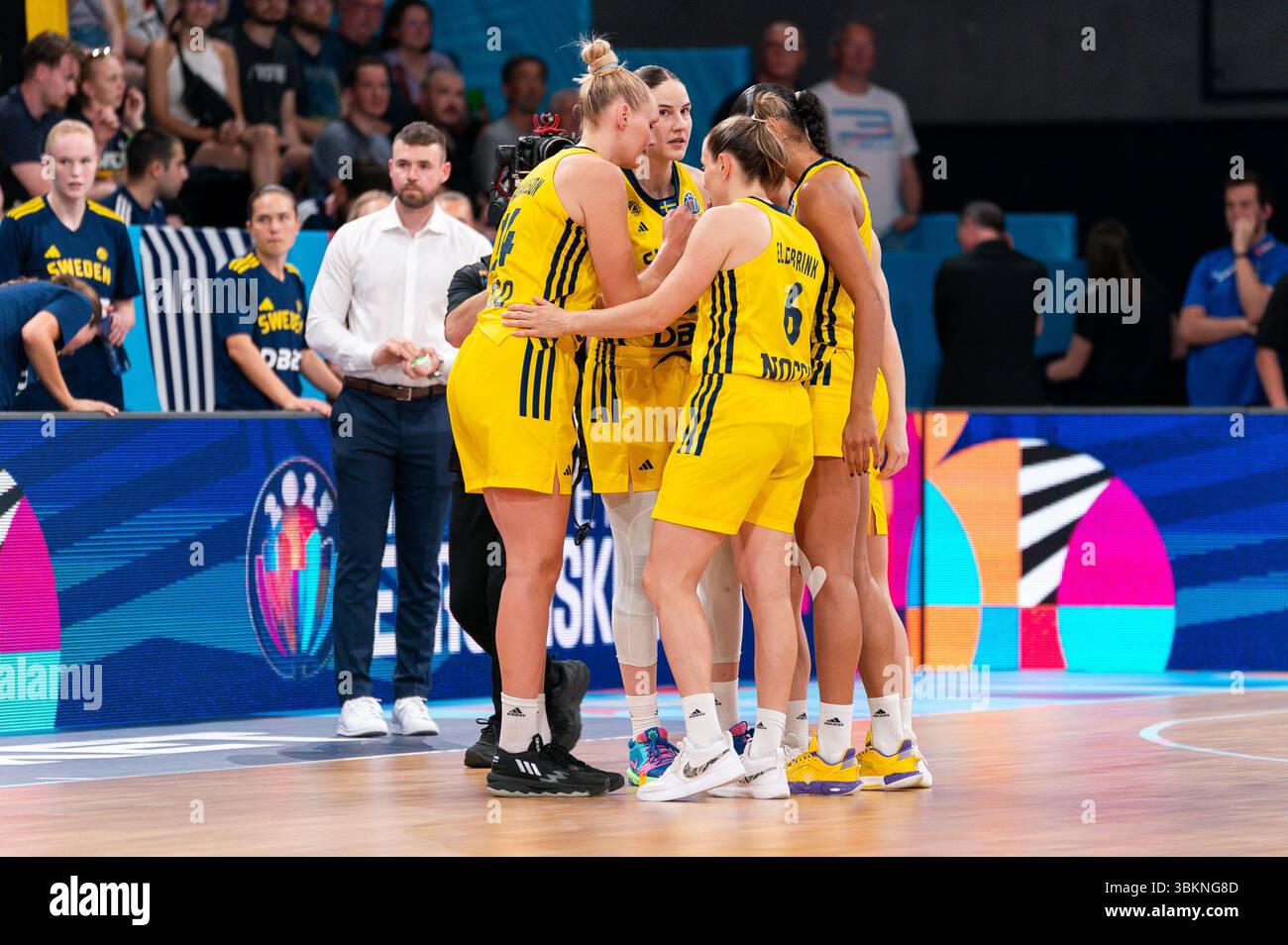 schwedische Nationalmannschaft, Louice Halvarsson (Schweden, #14 ...