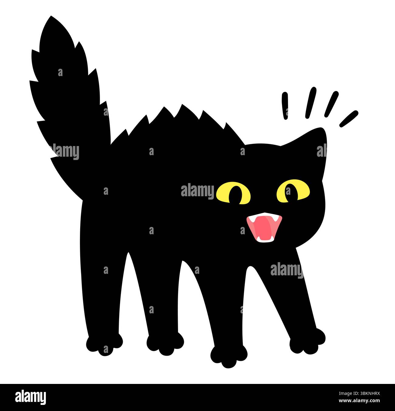 Angry black cat hissing and threatening with arched back and fur ...