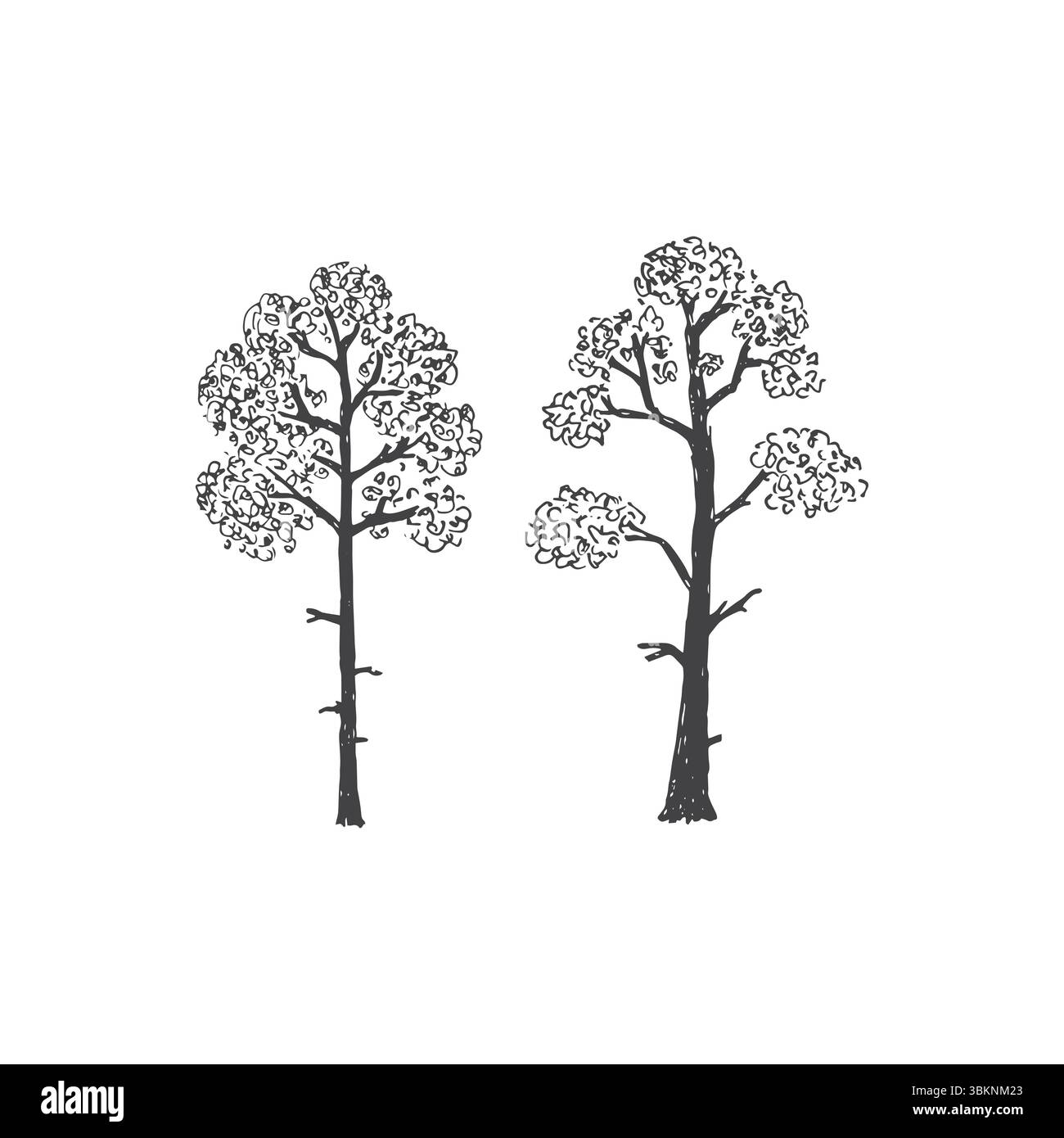 Outline detailed christmas tree Stock Vector Images - Alamy