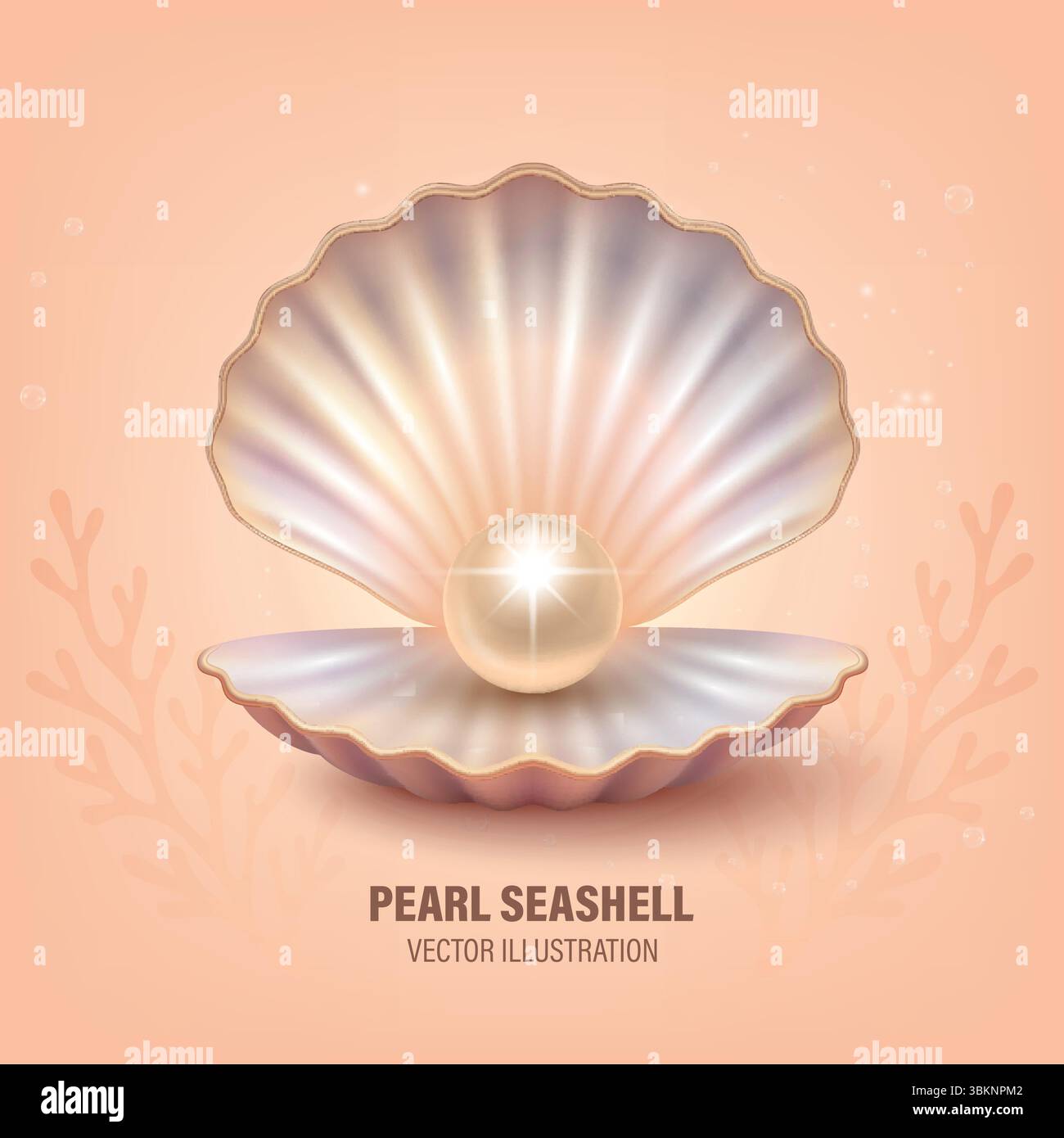 Open Seashell with Shiny Pearl, Vector Illustration. Realistic Pearl ...