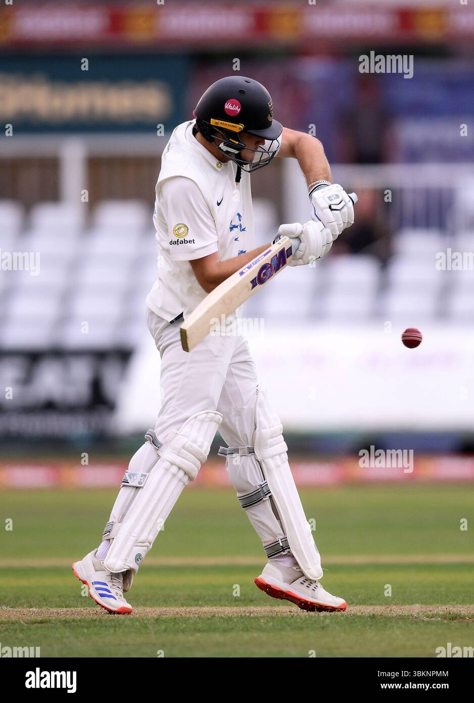 Sussex's James Coles batting during the Rothesay County Championship ...