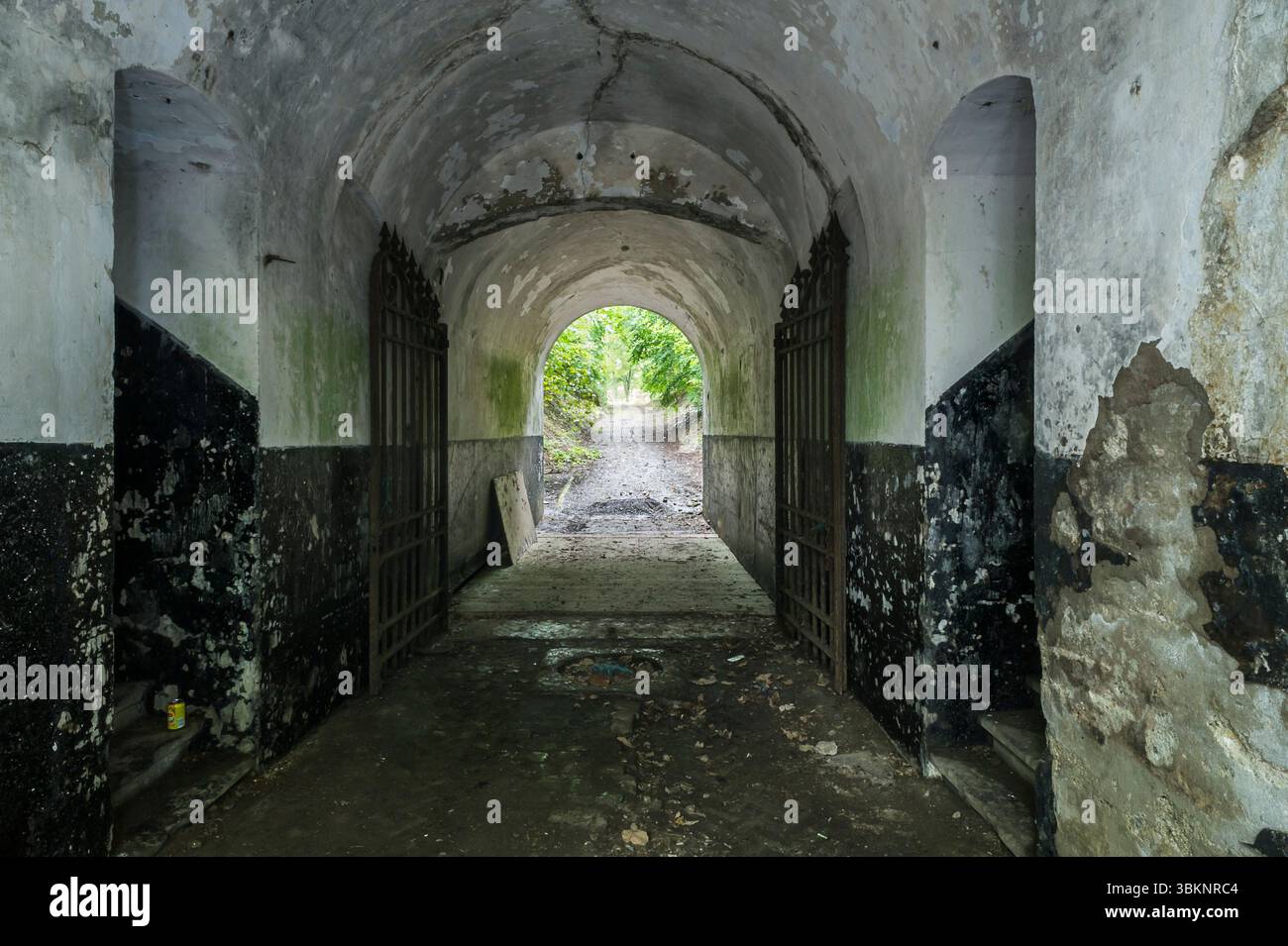 Daussoulx hi-res stock photography and images - Alamy